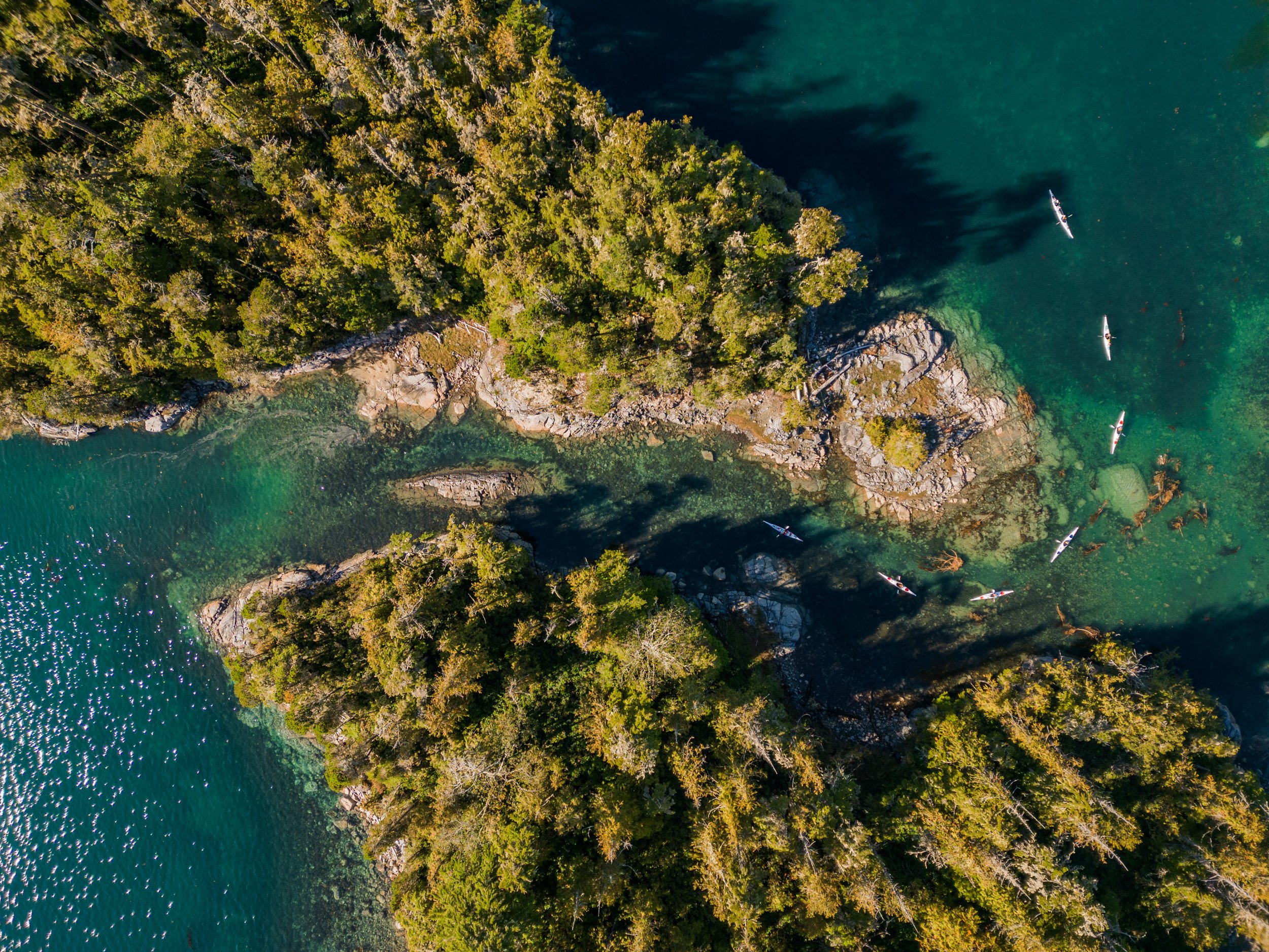 Online Auction • Explore Wild BC