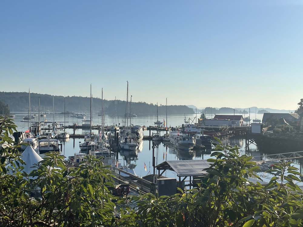 Fishery and Chips — Salt Spring Group