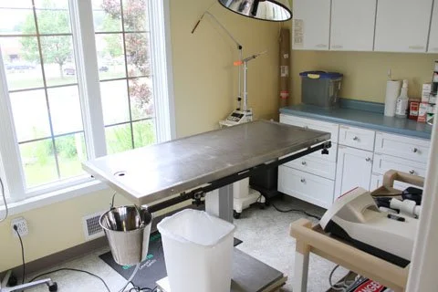 Virtual Office Tour — Just Cats Veterinary Clinic