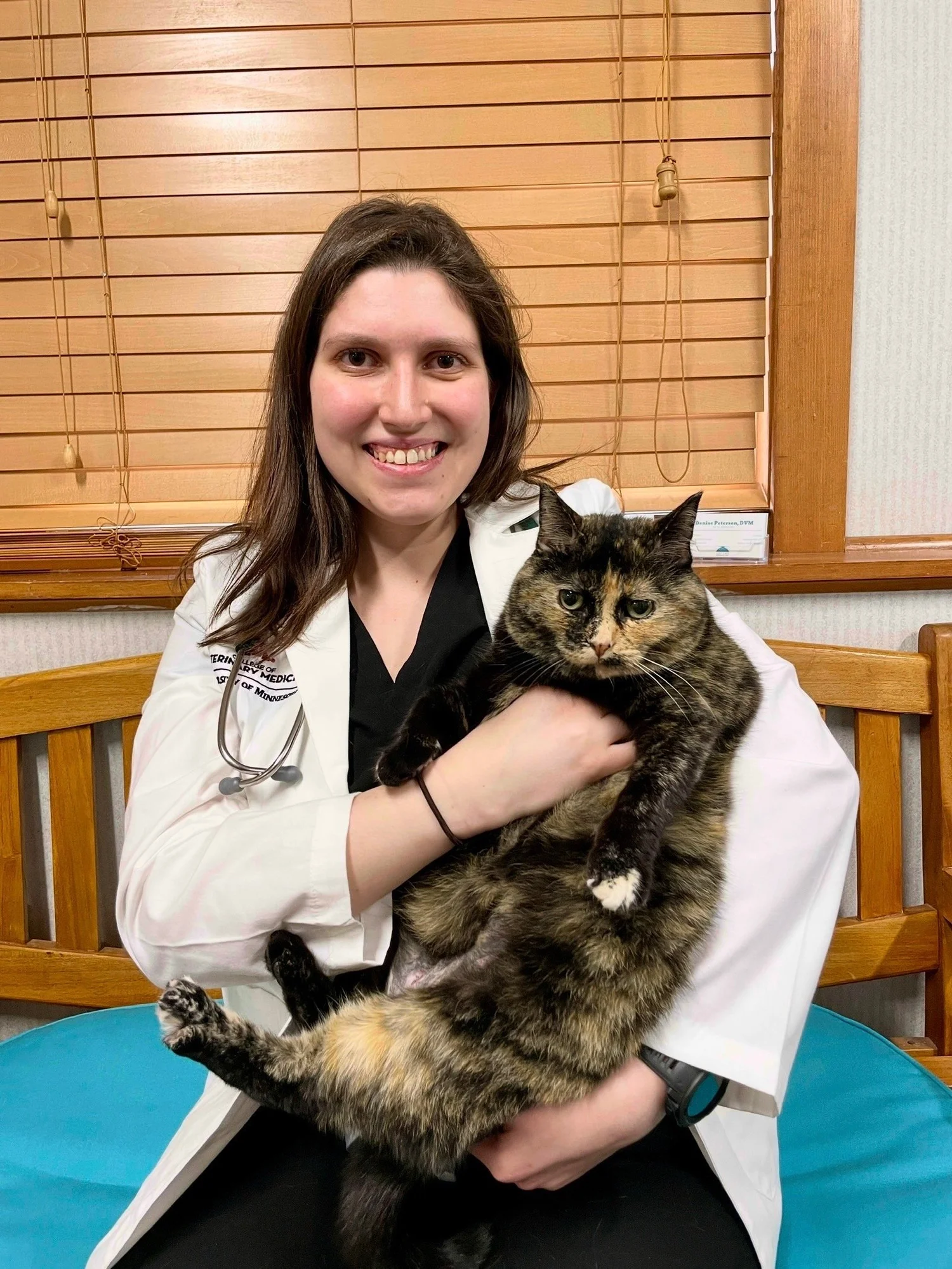 Meet Our Team — Just Cats Veterinary Clinic