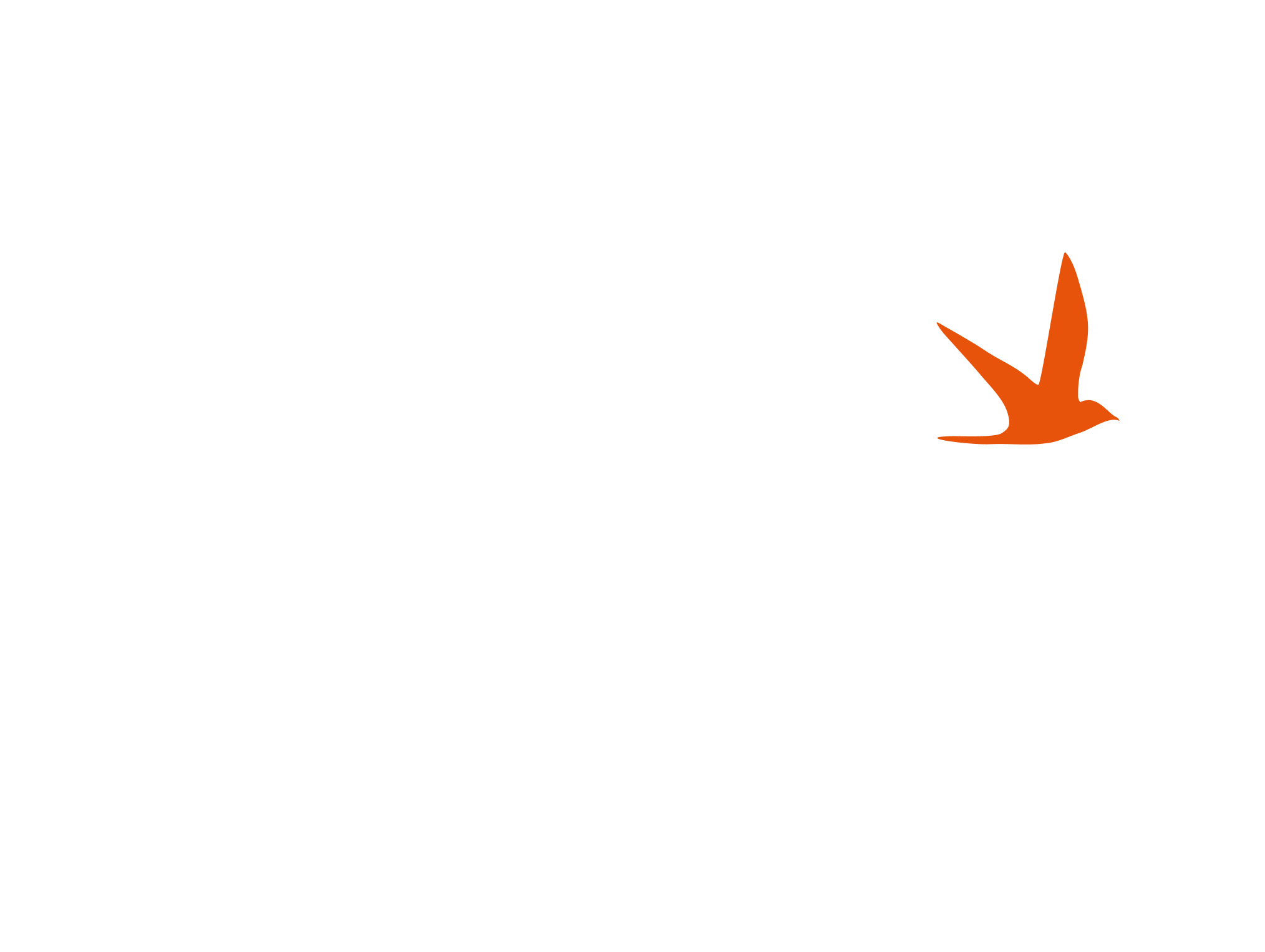 Together We Rise by South Asian SOAR
