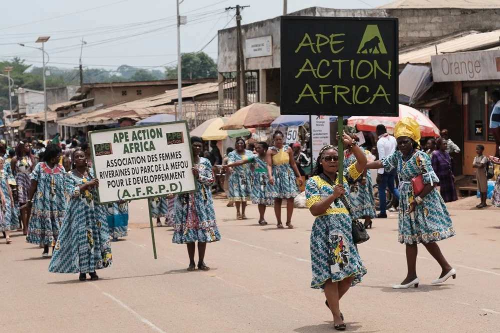 Who we are — Ape Action Africa