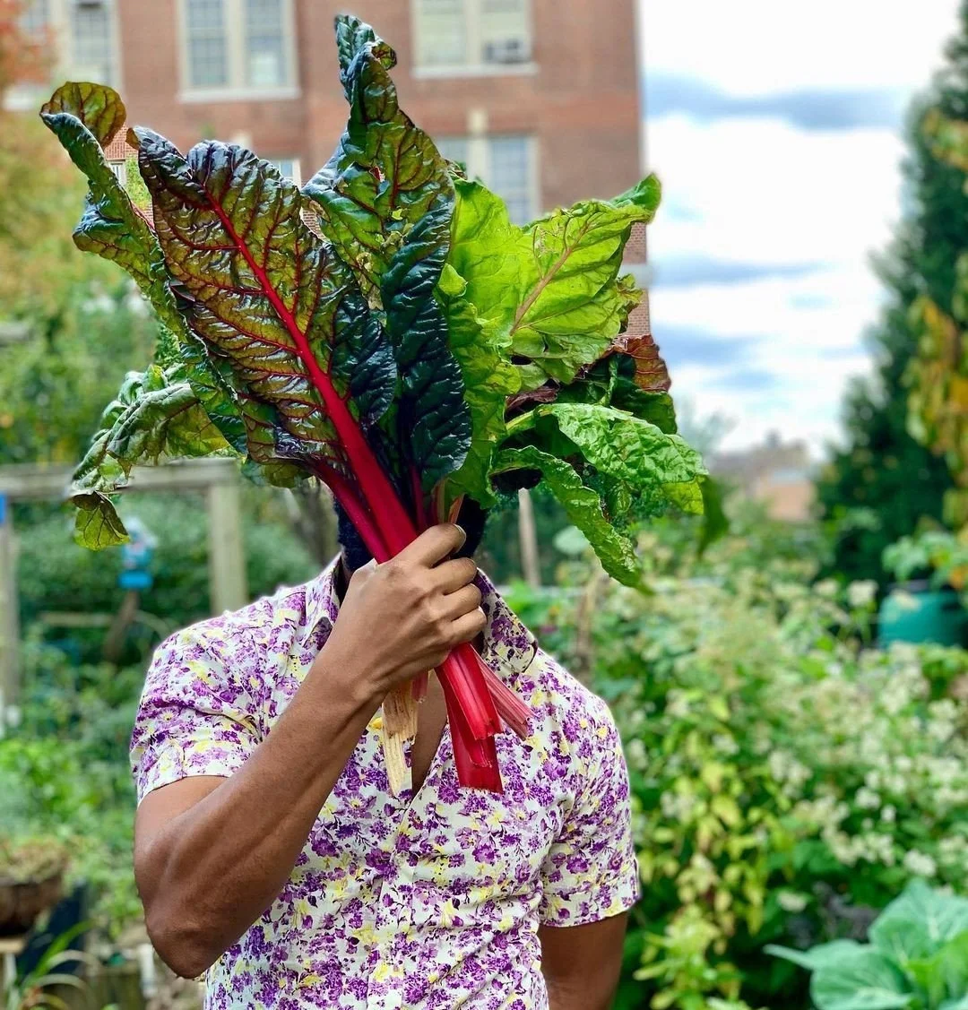 Food — ReBORN FARMS