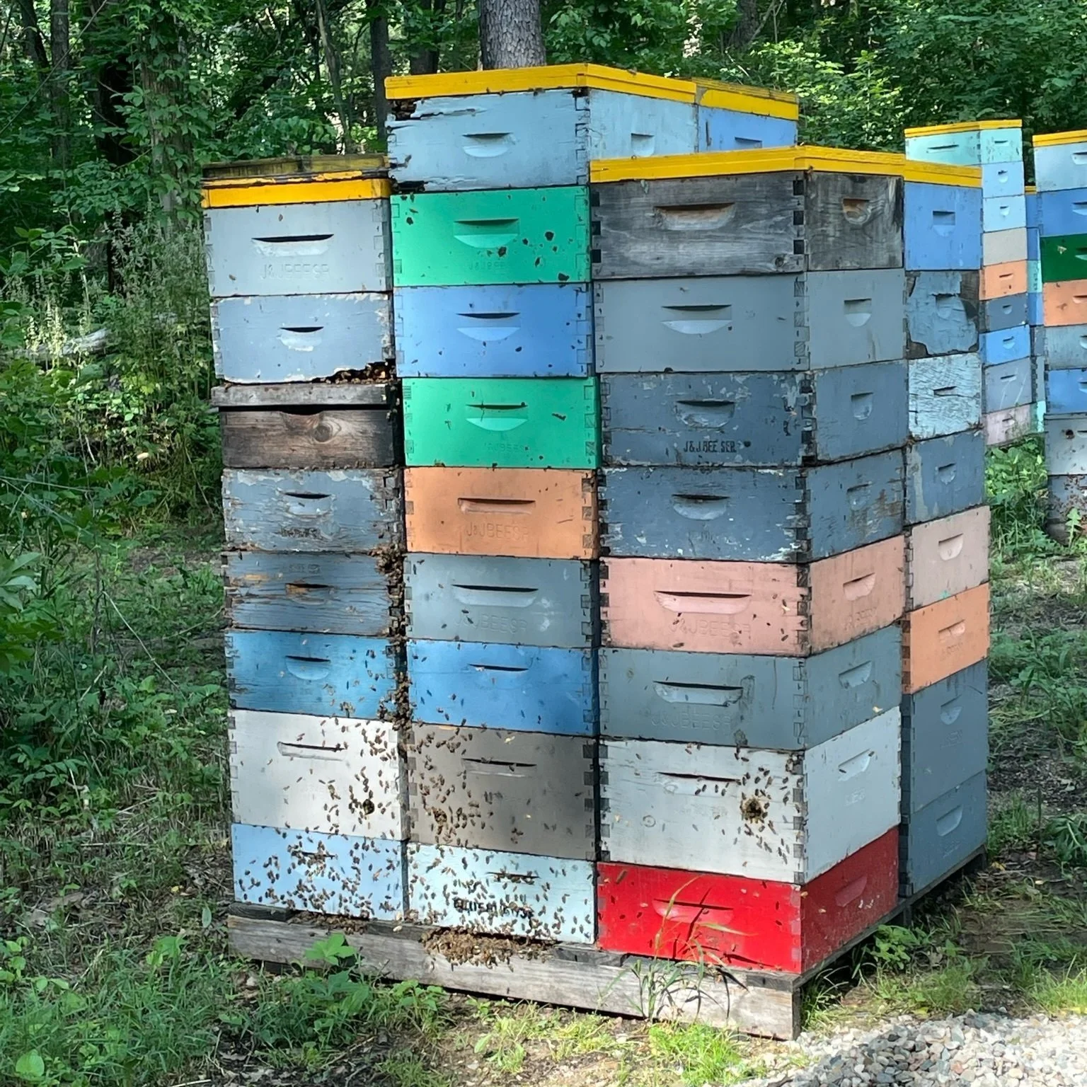 J&J Bee Service | Raw Honey | Gobles, MI