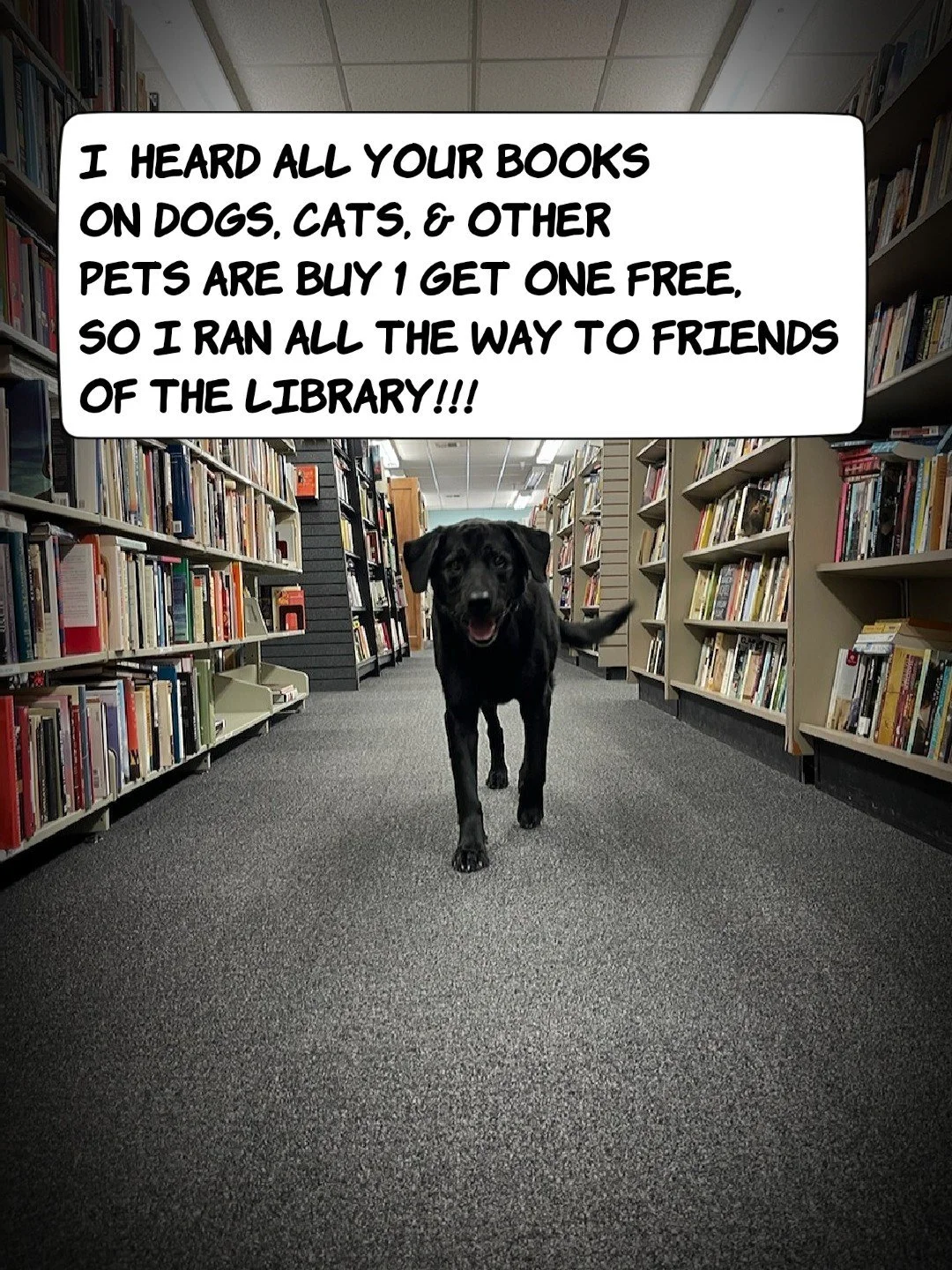 Friends of the Stockton Public Library