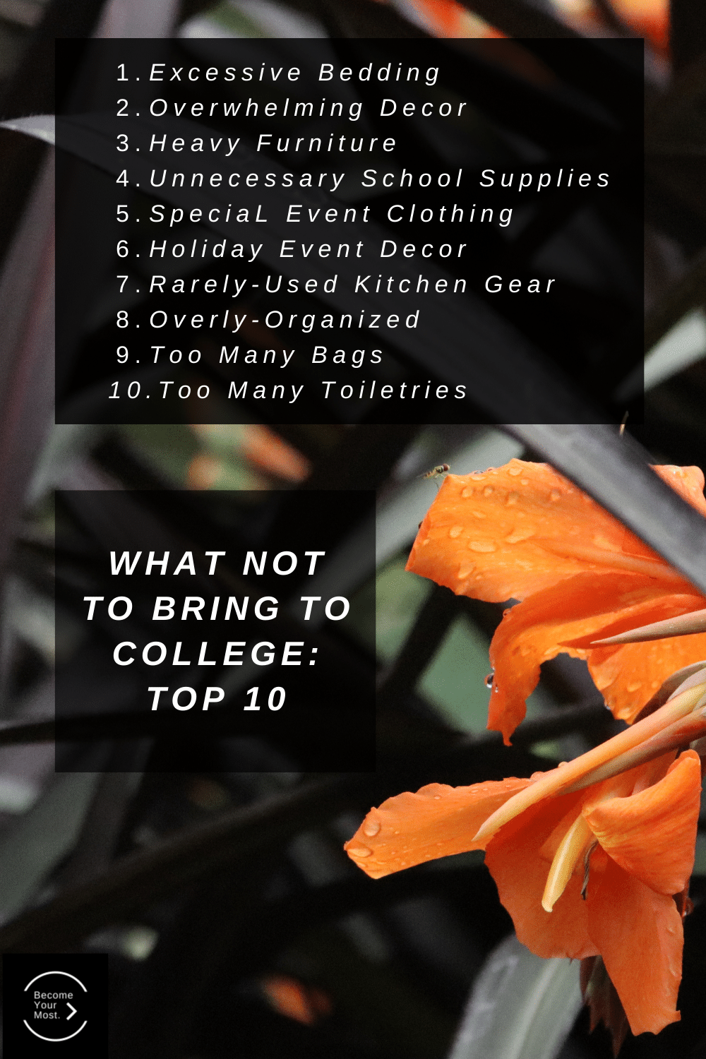 What NOT To Bring To College TOP 10 Become Your Most what-not-to-bring-to-college-top-10-become-your-most