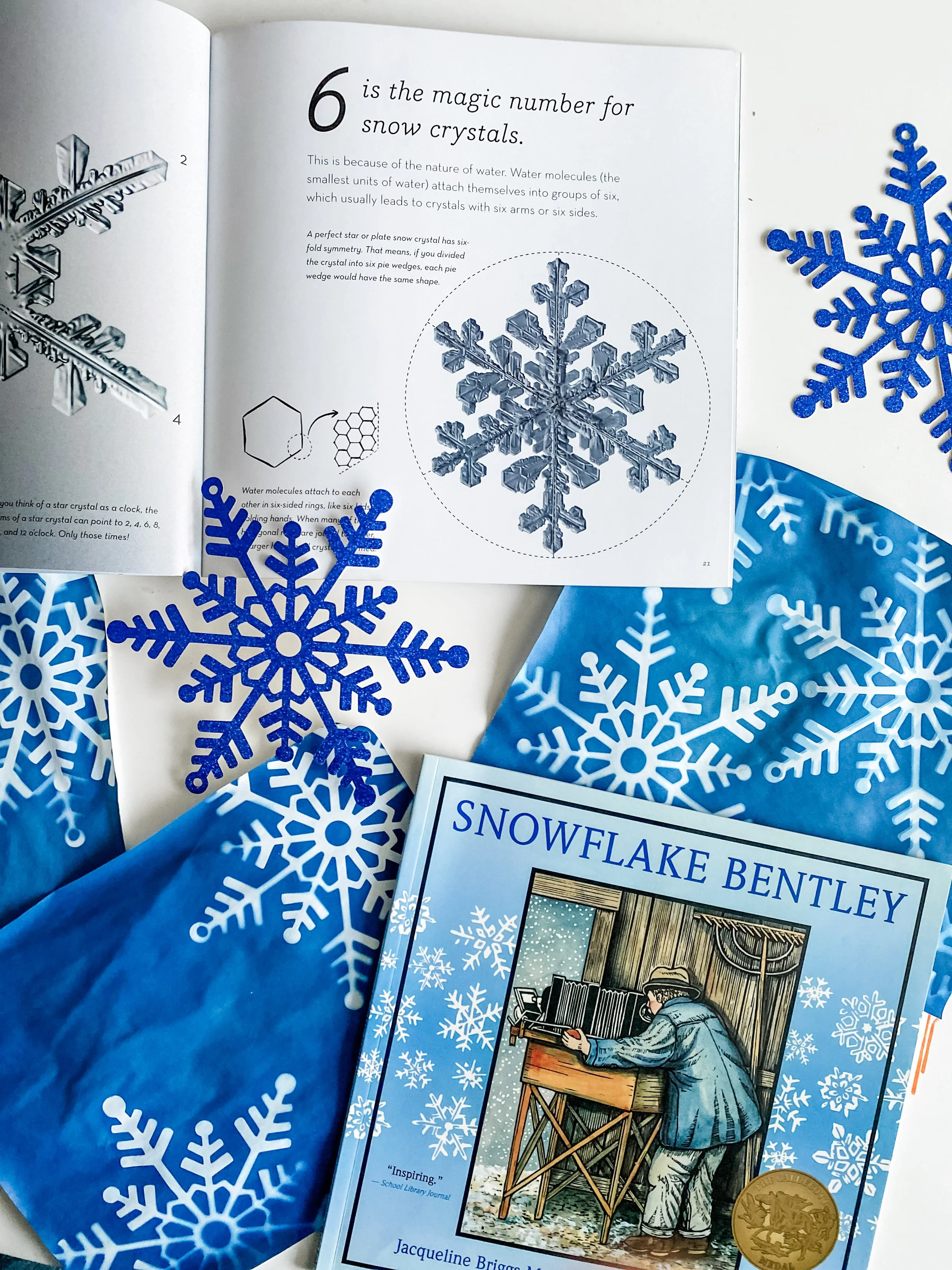 BLOG : Home-Centered Learning