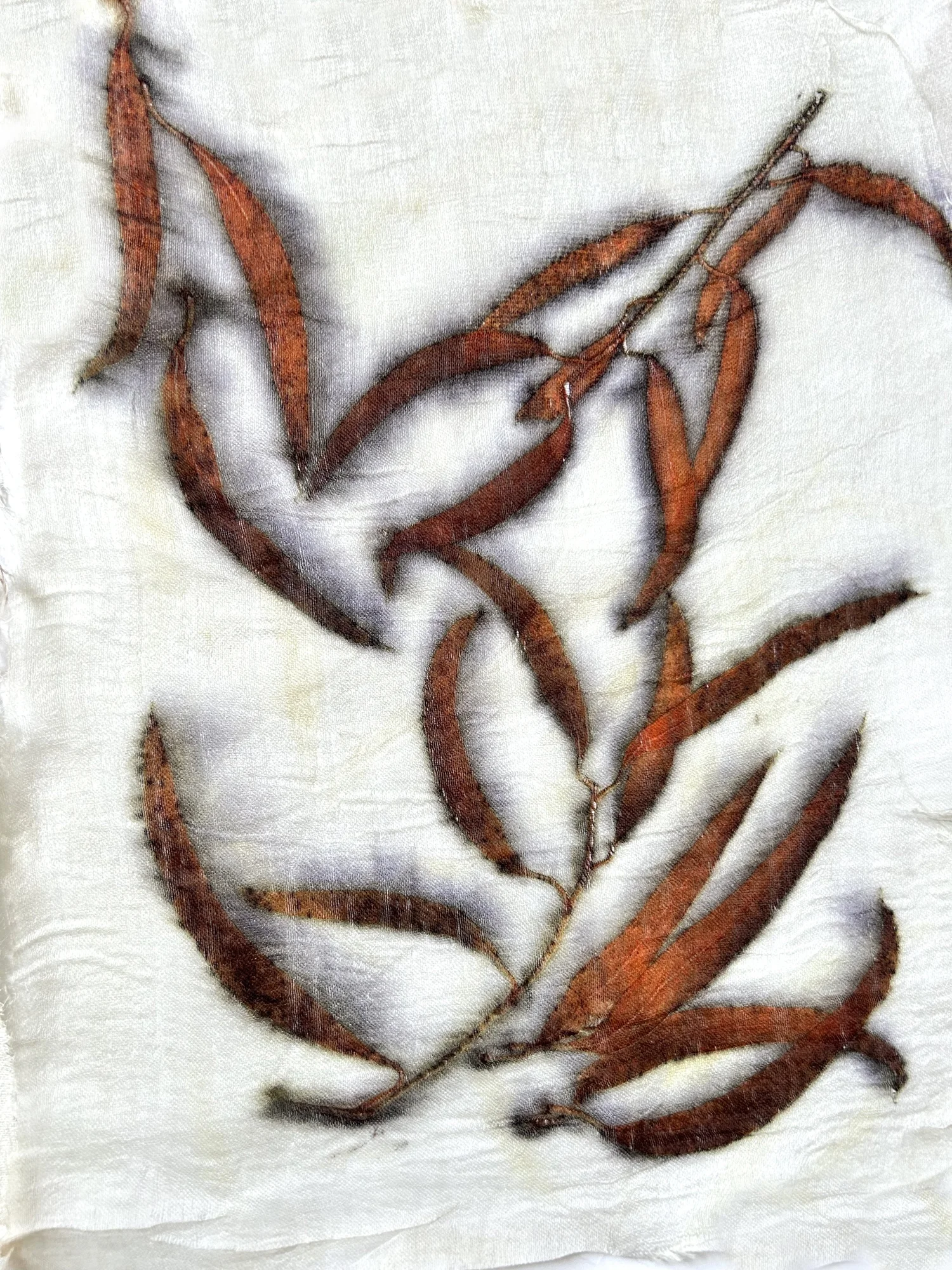 Printing Red with Eucalyptus | Botanical Prints on Silk & Wool — FLORA ...