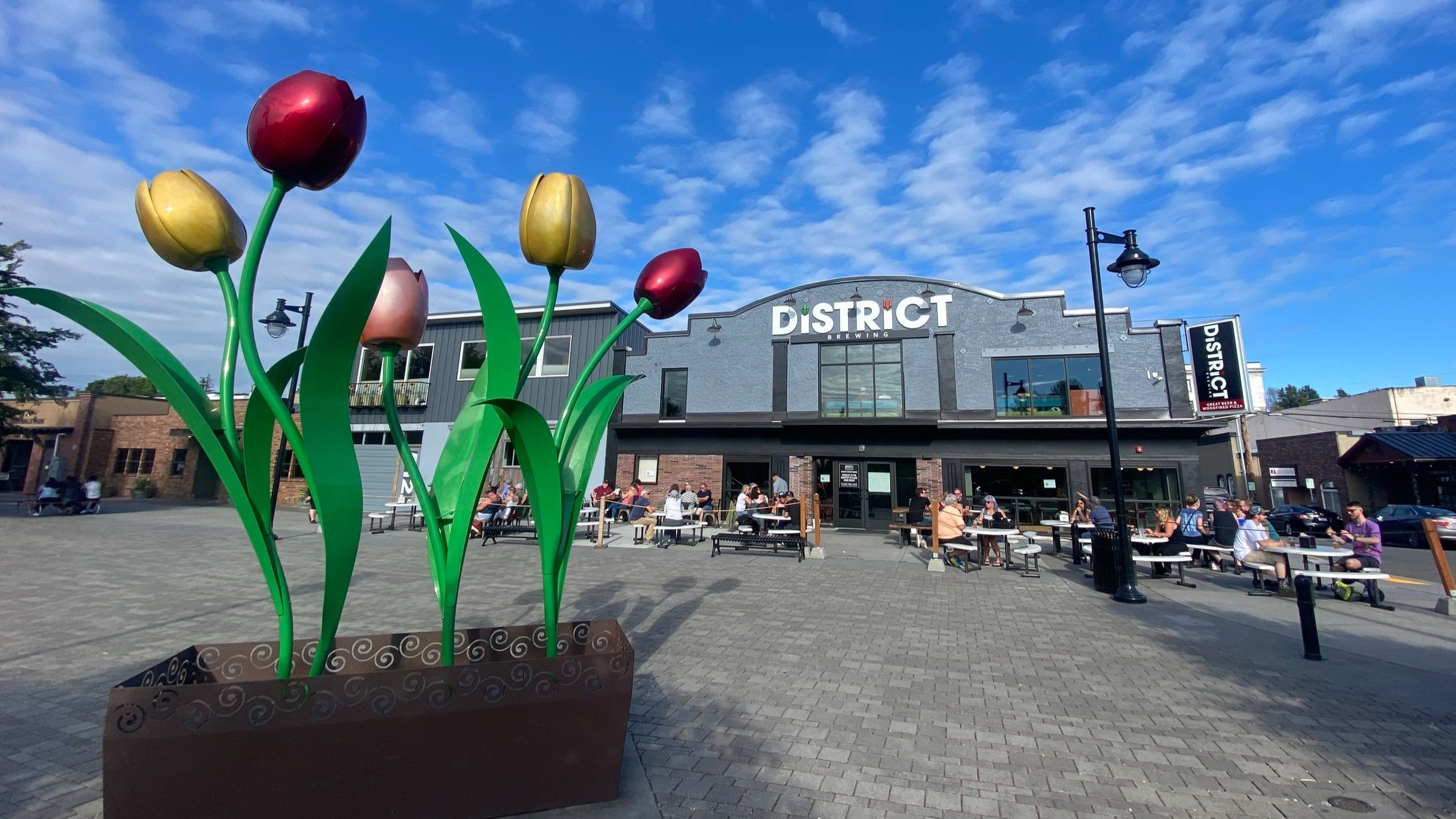 Mount Vernon Brewery — District Brewing