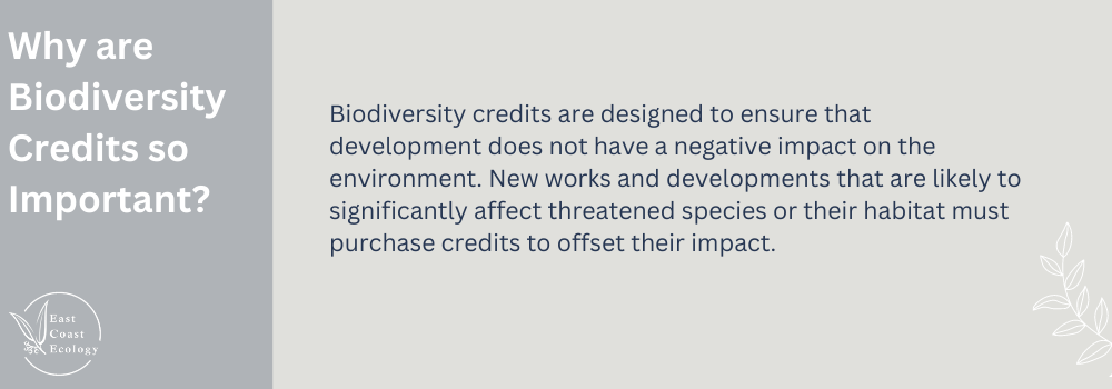 Biodiversity Credits NSW Guide – East Coast Ecology