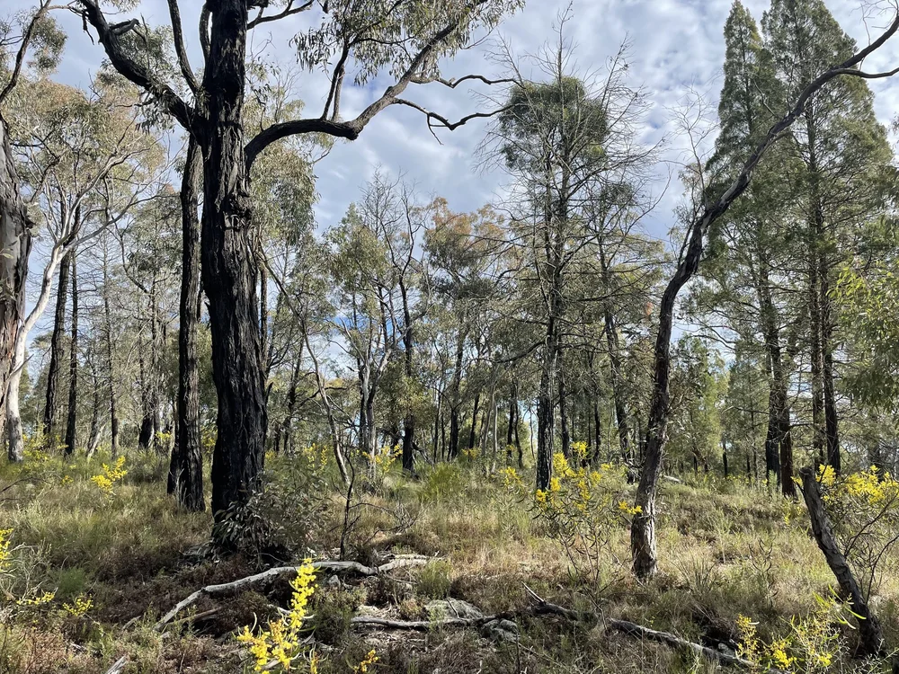 Biodiversity Stewardship Agreement (BSA) | ECE