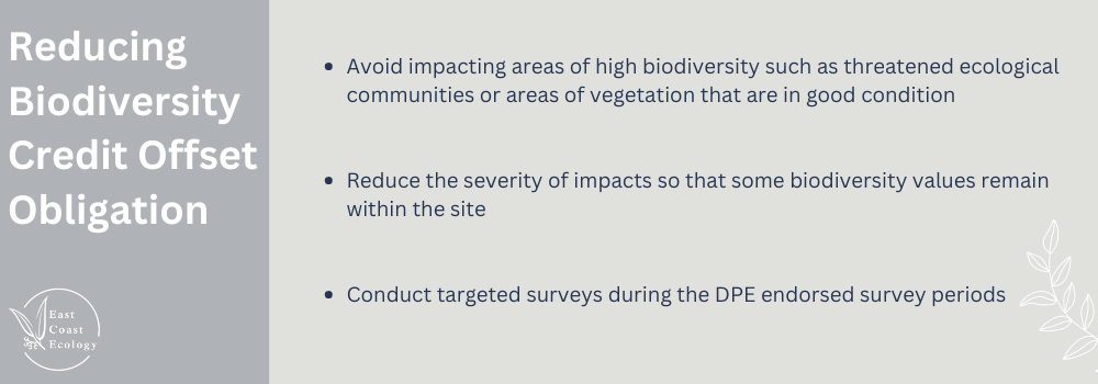 NSW Biodiversity Offsets Scheme 2023 Guide