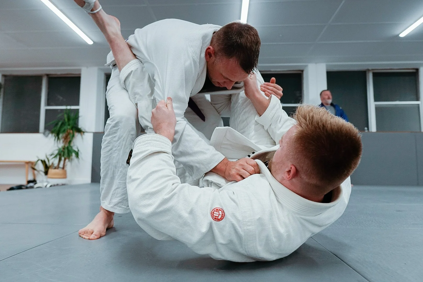 STANDARD PROGRAMME — 222 JIU JITSU | Newcastle
