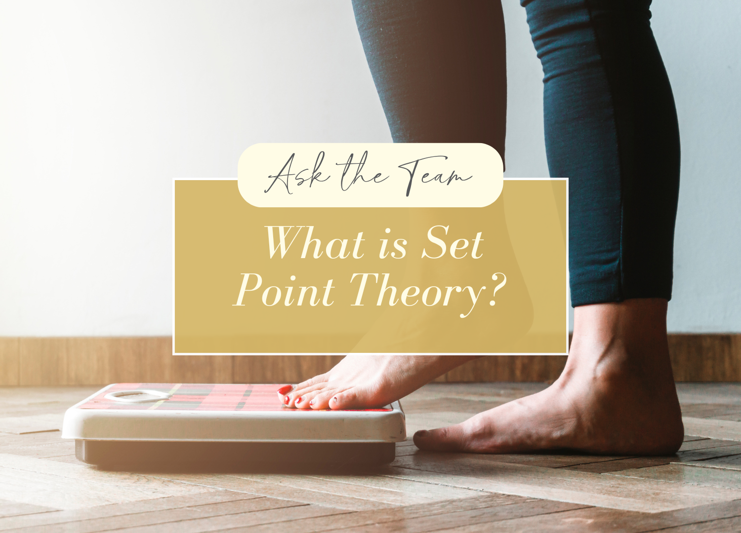 Ask the Team: What is Set Point Theory? — Collaborative Counseling ...