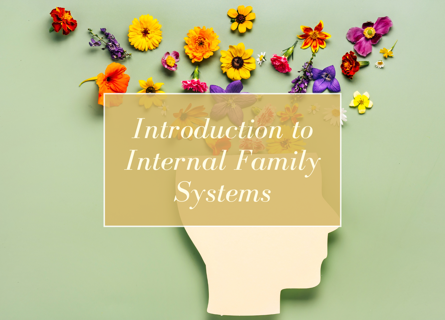 What is Internal Family Systems? — Collaborative Counseling & Nutrition
