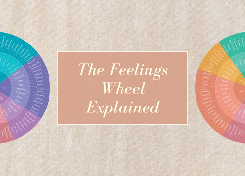 The Feelings Wheel Explained — Collaborative Counseling & Nutrition
