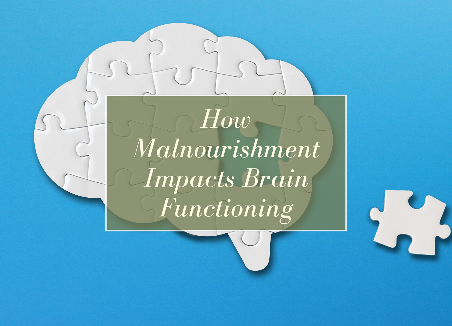 How Malnourishment Impacts Brain Functioning — Collaborative Counseling ...