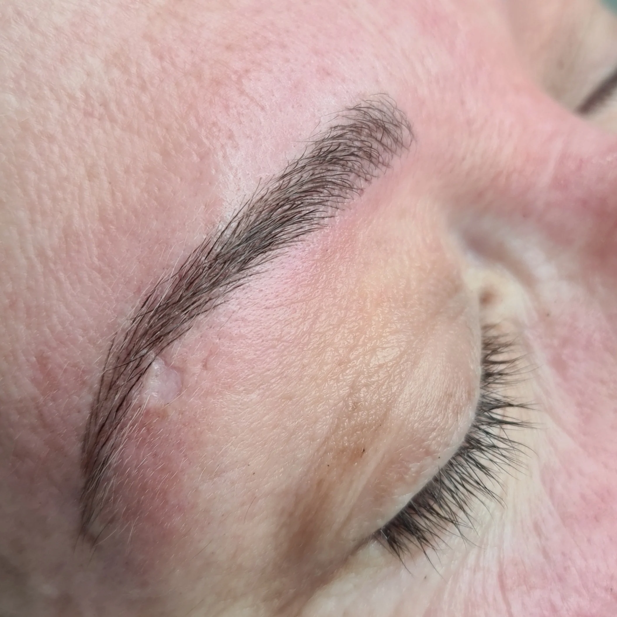 Gallery 1 — Born Brow Artistry