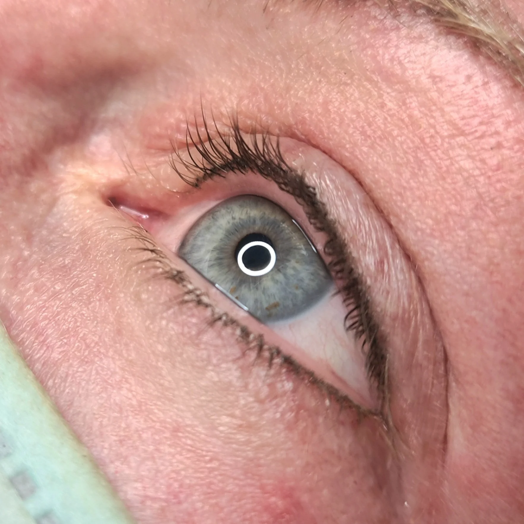 Gallery 1 — Born Brow Artistry