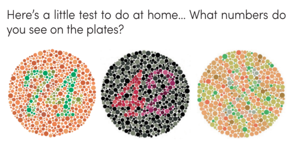 Colour Vision Testing: What It is and Its Importance