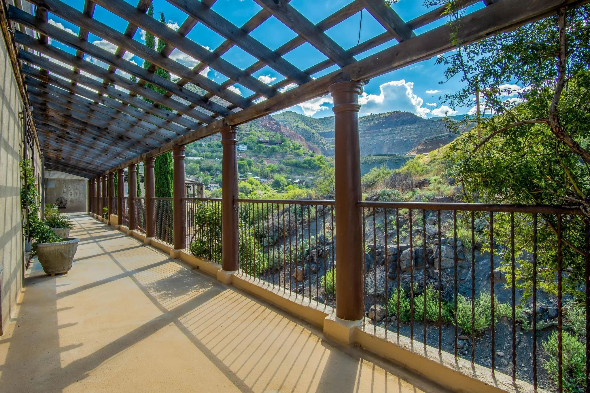 The Little Daisy Jerome