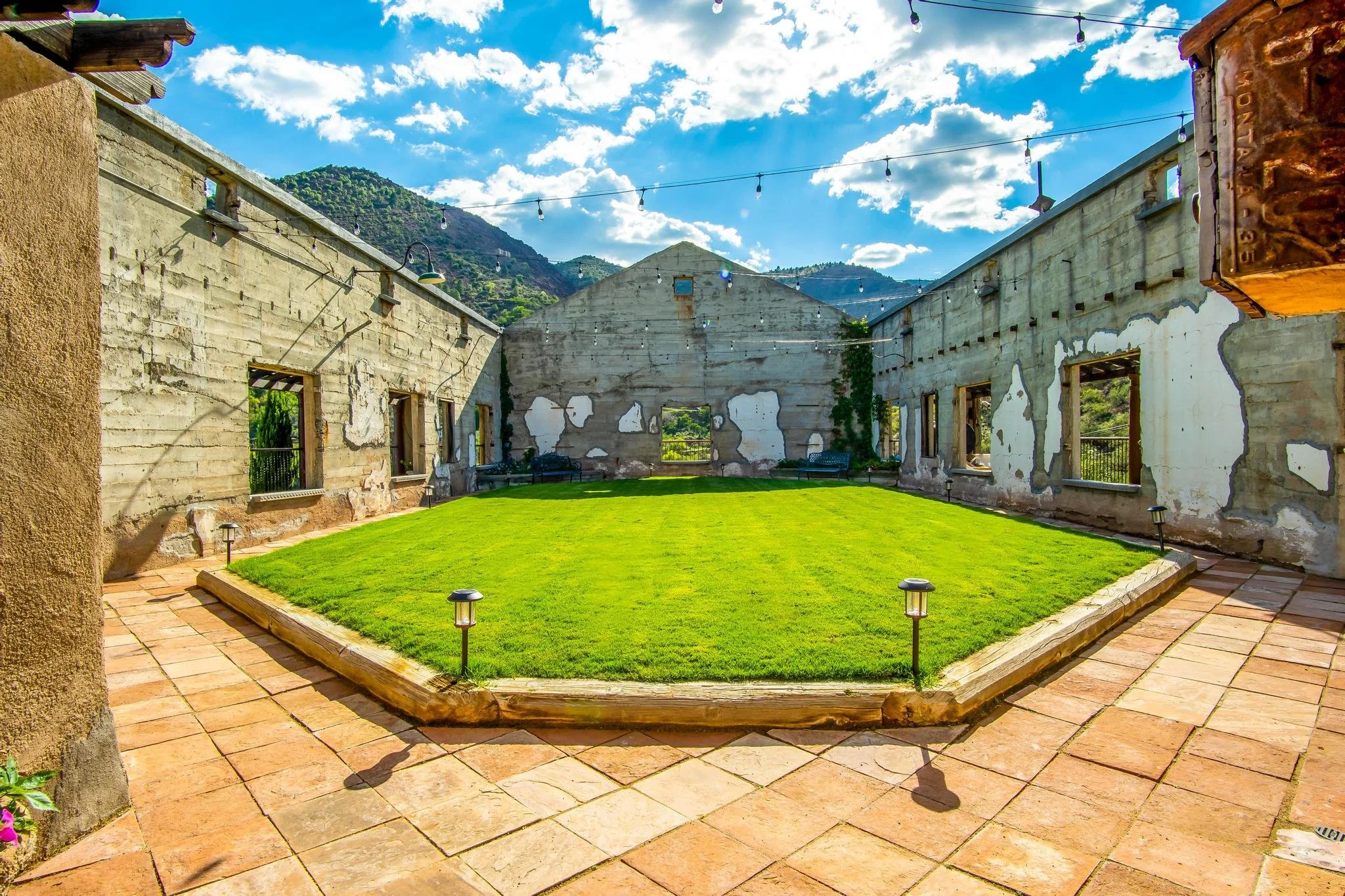 Gallery — The Little Daisy Jerome