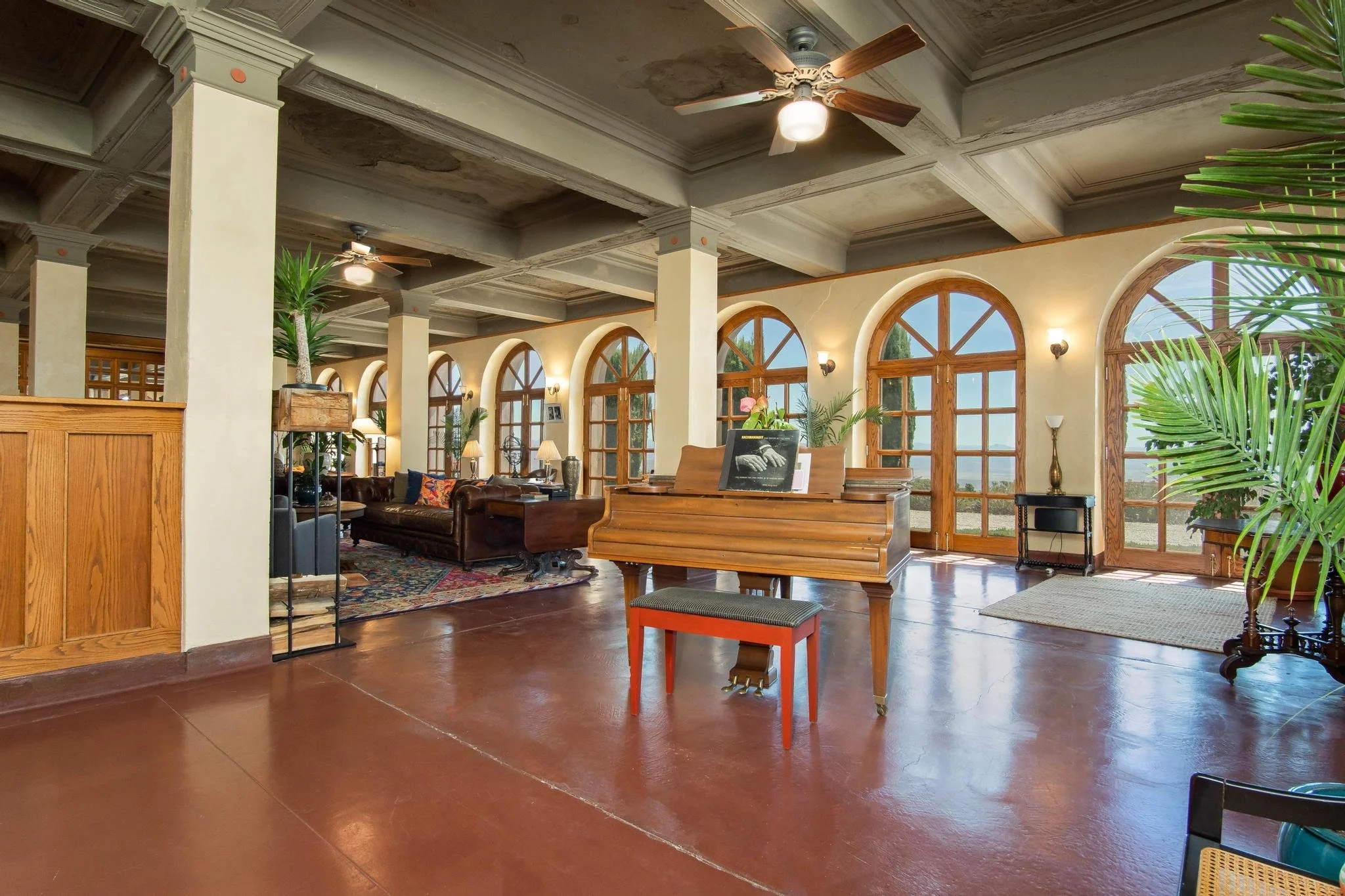 The Little Daisy Jerome