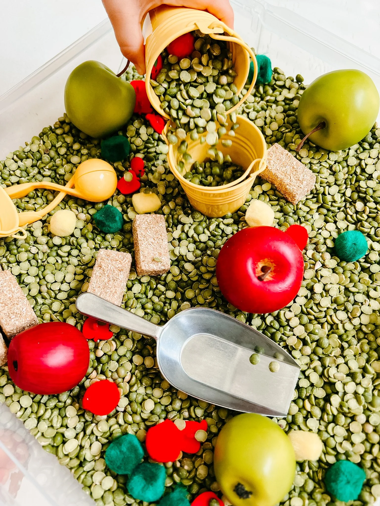 Apple Sensory Bin — Red Rose Speechies