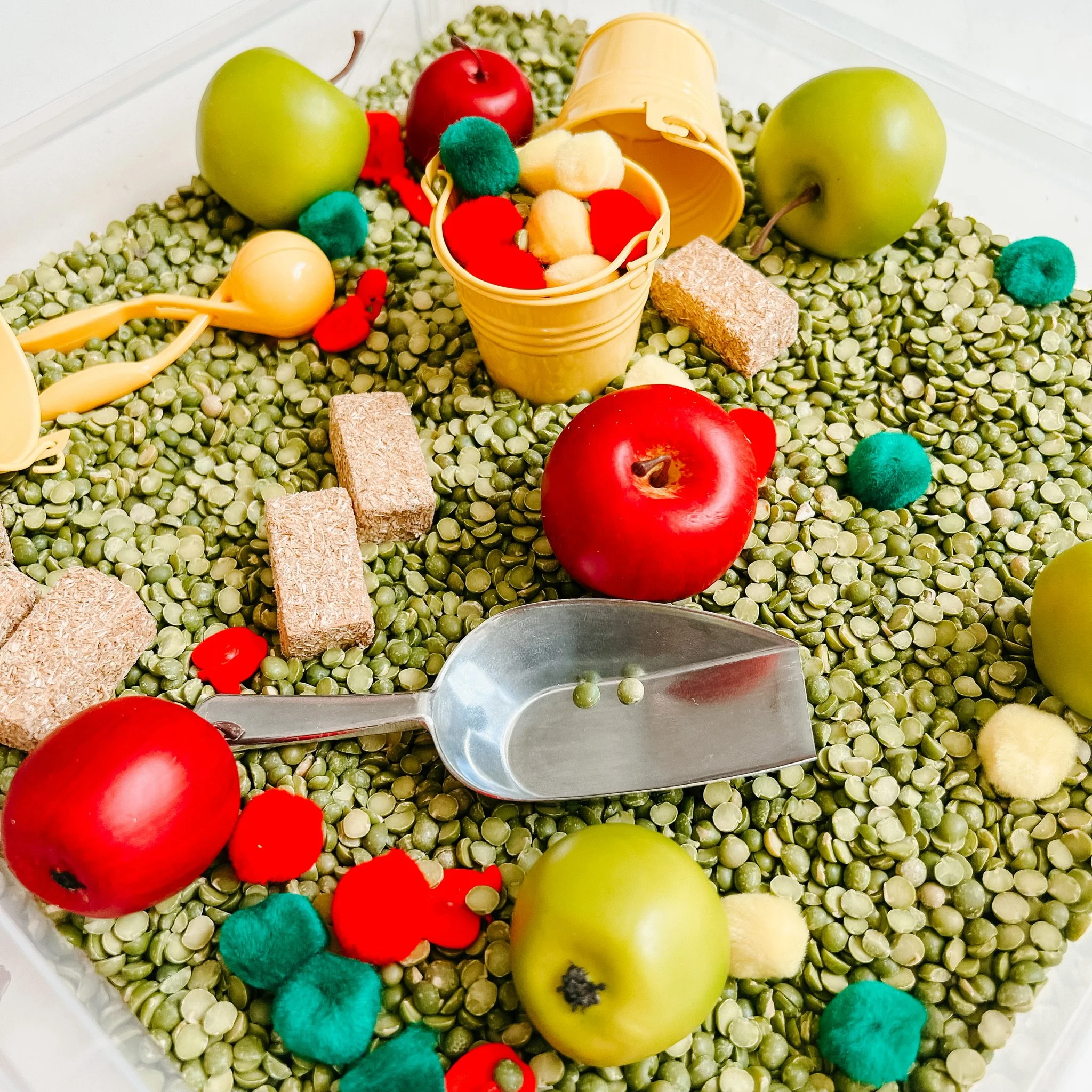 Apple Preschool Play Bin + Speech/Language targets — Red Rose Speechies