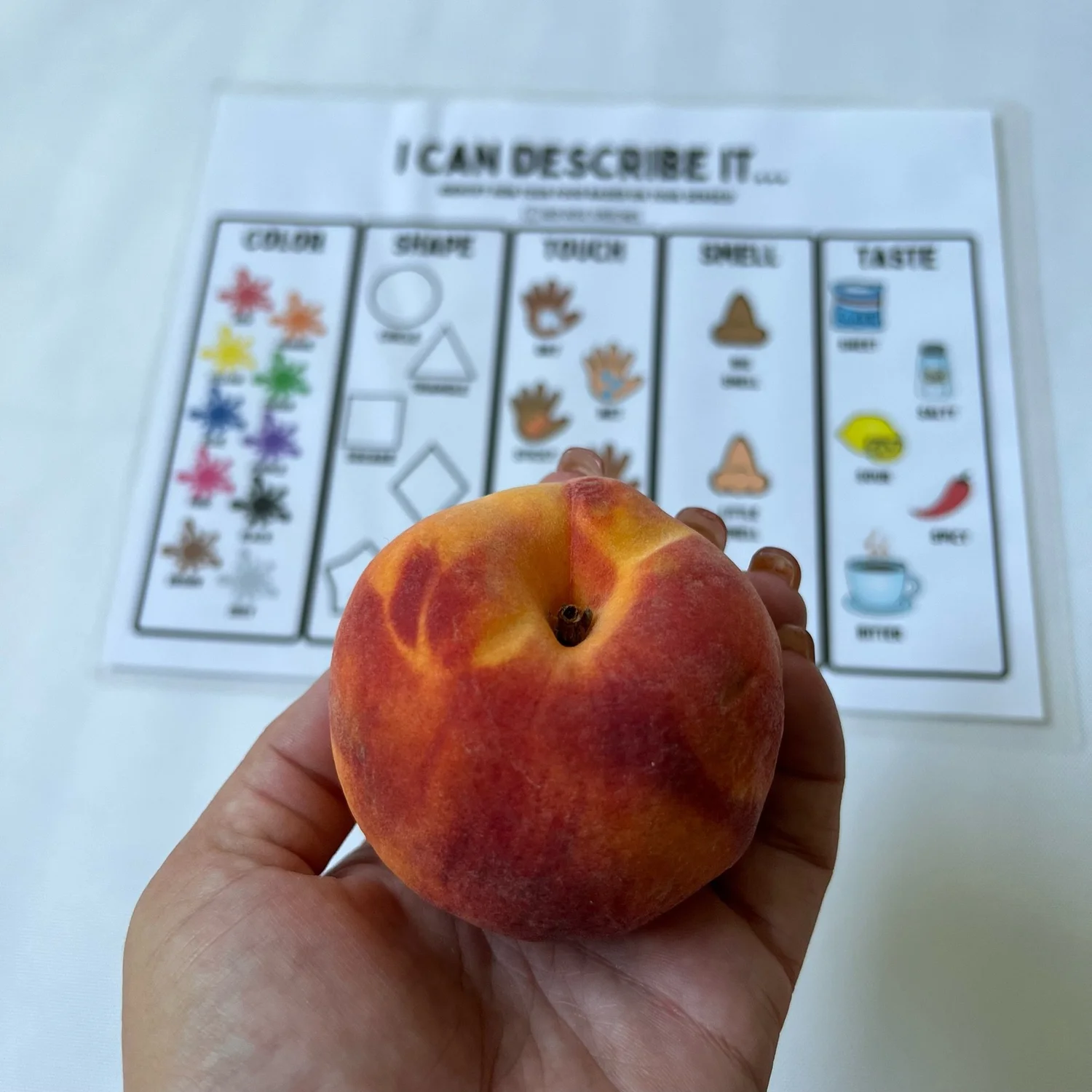 10 Feeding Therapy Ideas you may not have tried — Red Rose Speechies