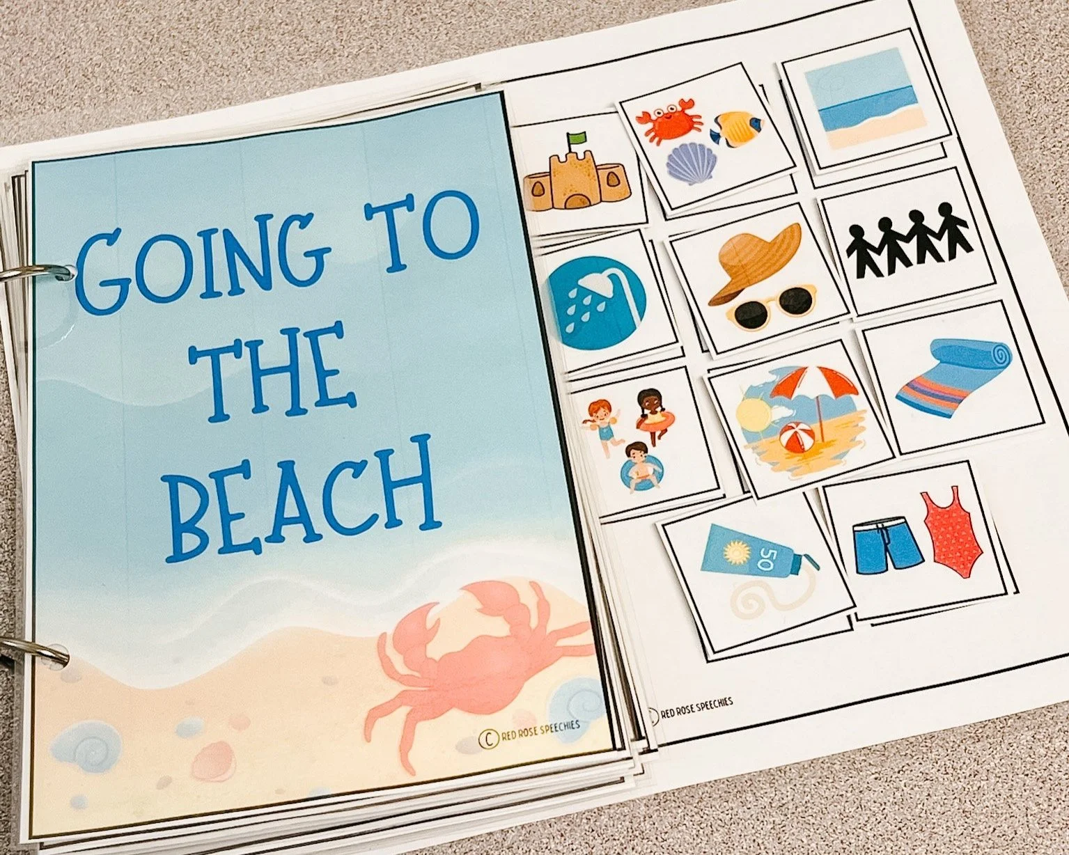 Beach and Ocean Themed Speech Therapy Activities, Ideas, and Freebies ...