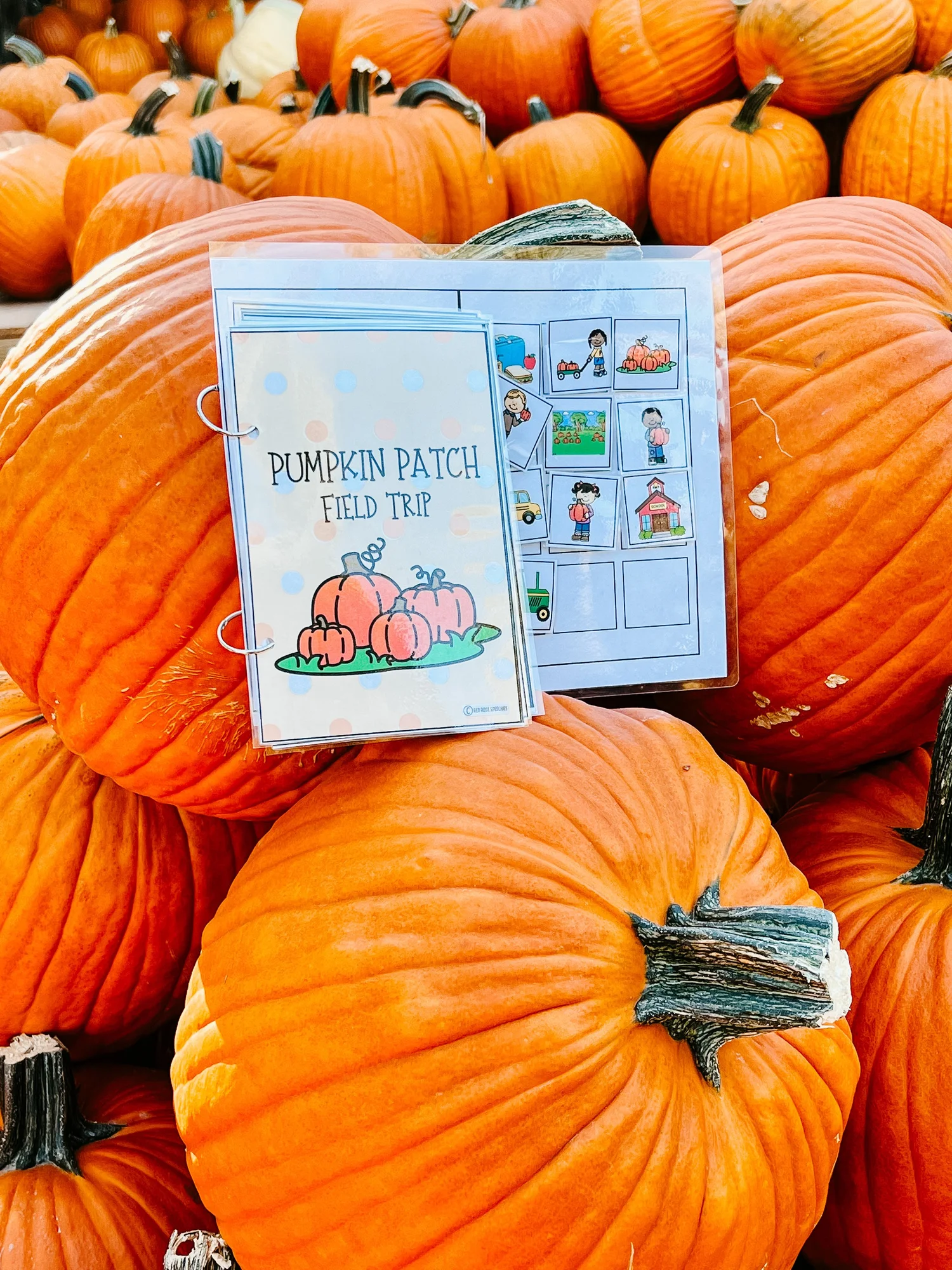 Social Stories for Language Development — Red Rose Speechies