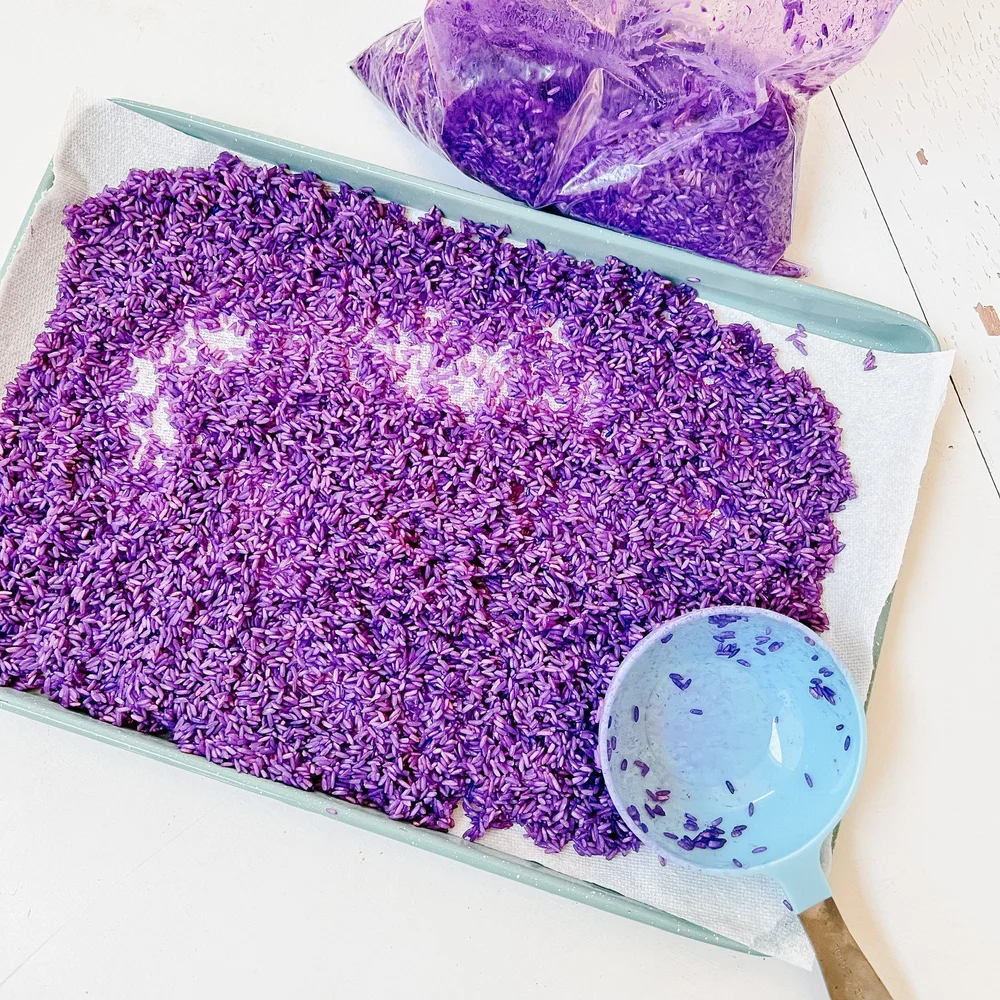 DIY Sensory Bin Rice & A Spooky Sensory Bin — Red Rose Speechies