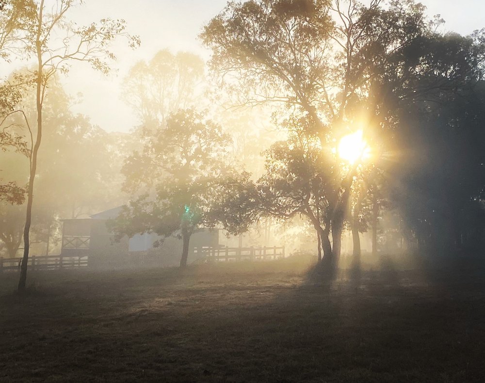 Curlew Ridge Farms | Flower Farm Woodford