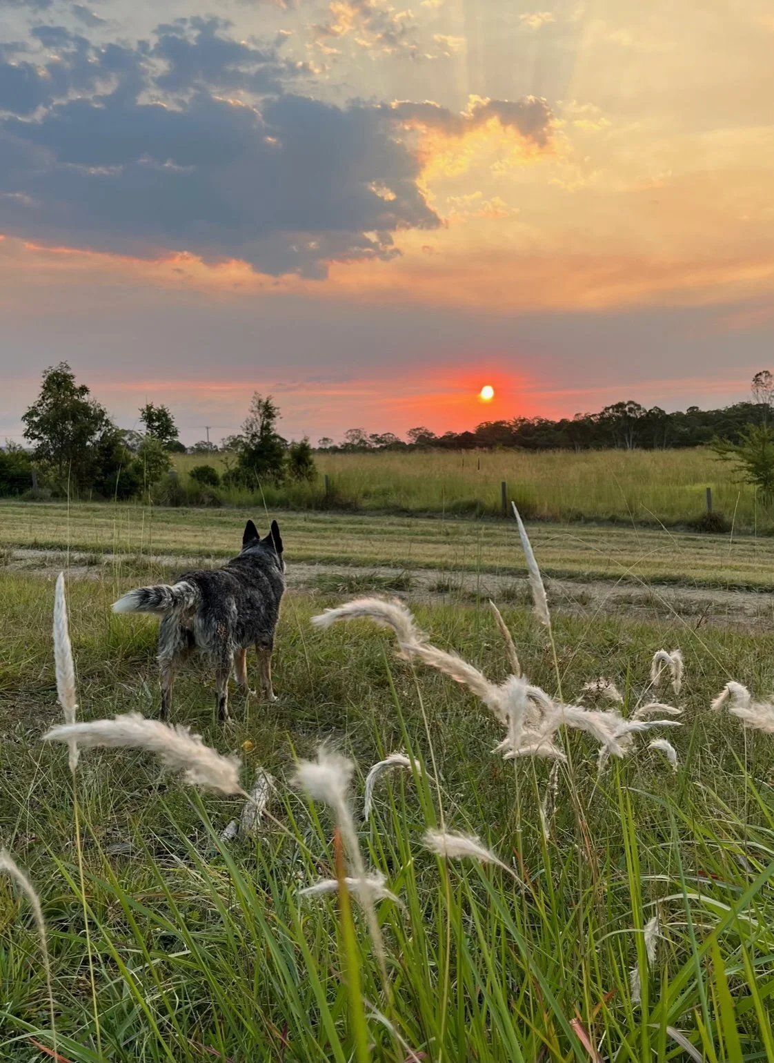 Visit The Farm | Discover and Experience the Farm Learn More — Curlew ...