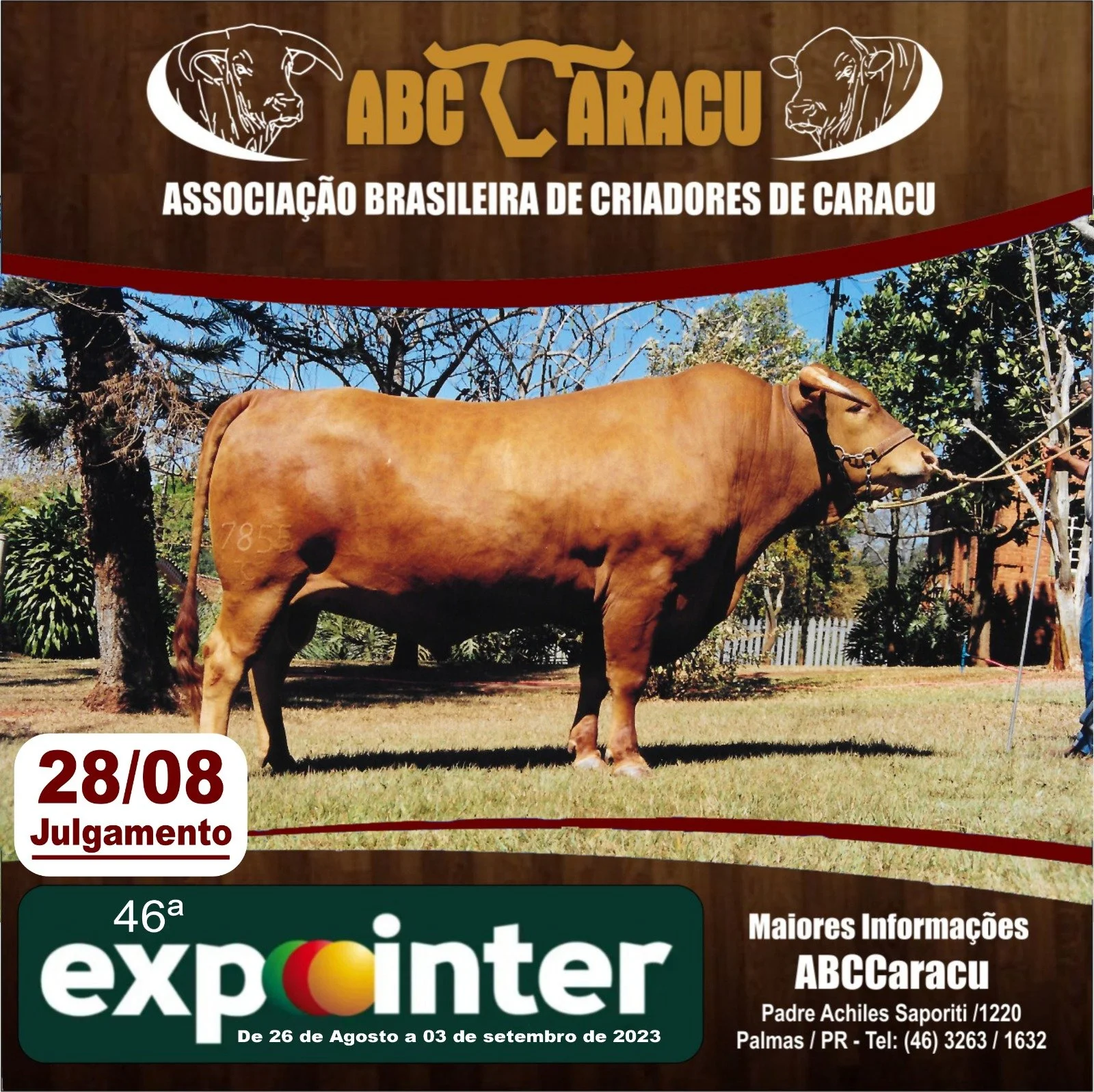 Exposição Nacional e Julgamento da Raça Caracu — Associação Brasileira ...