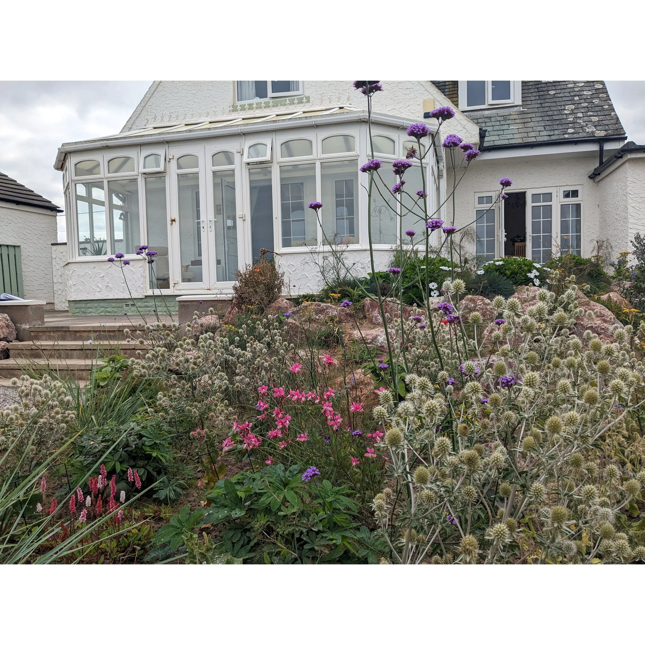 Skinburness — Dan Todd Landscape Design