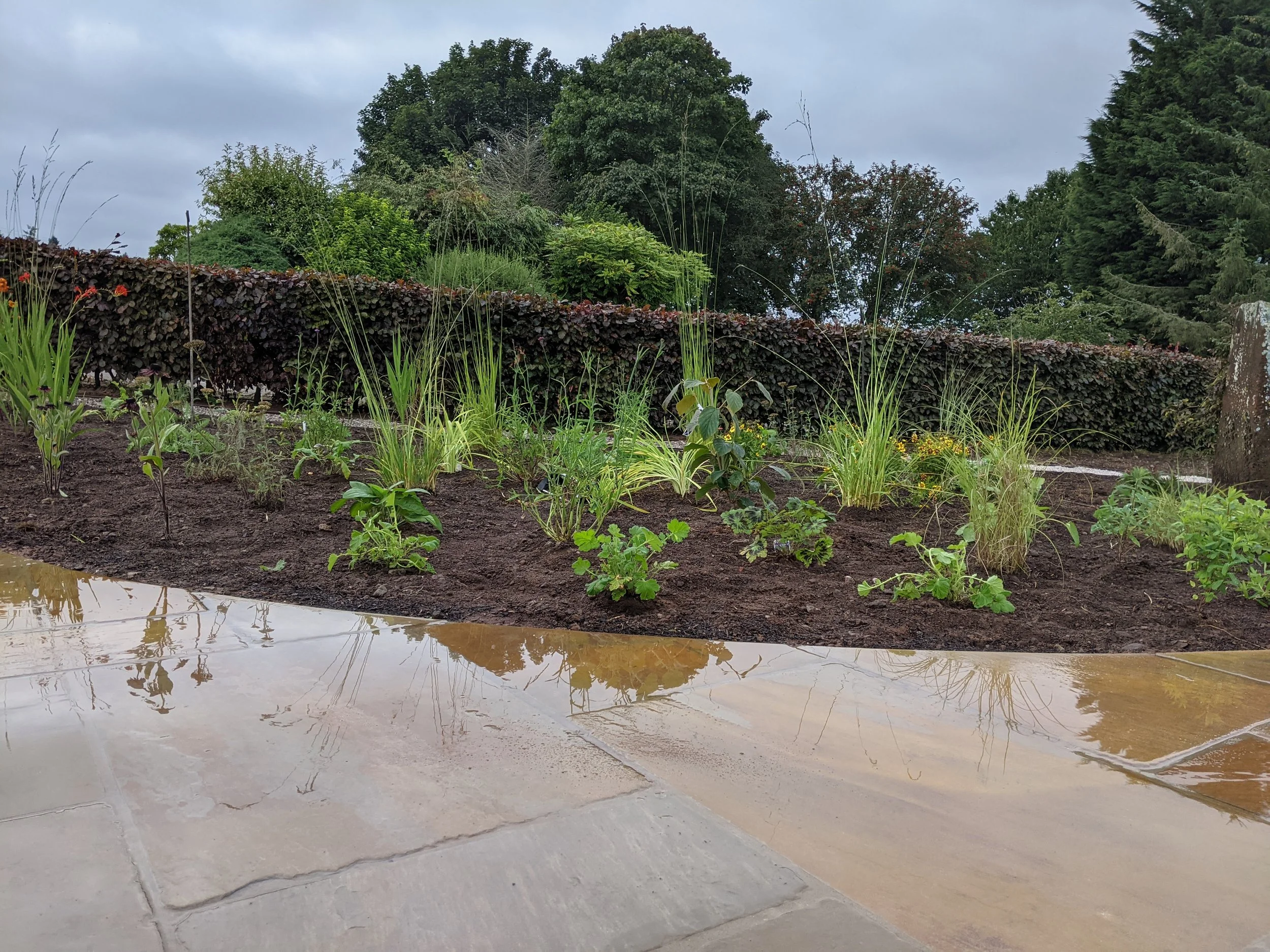 before & after — Dan Todd Landscape Design