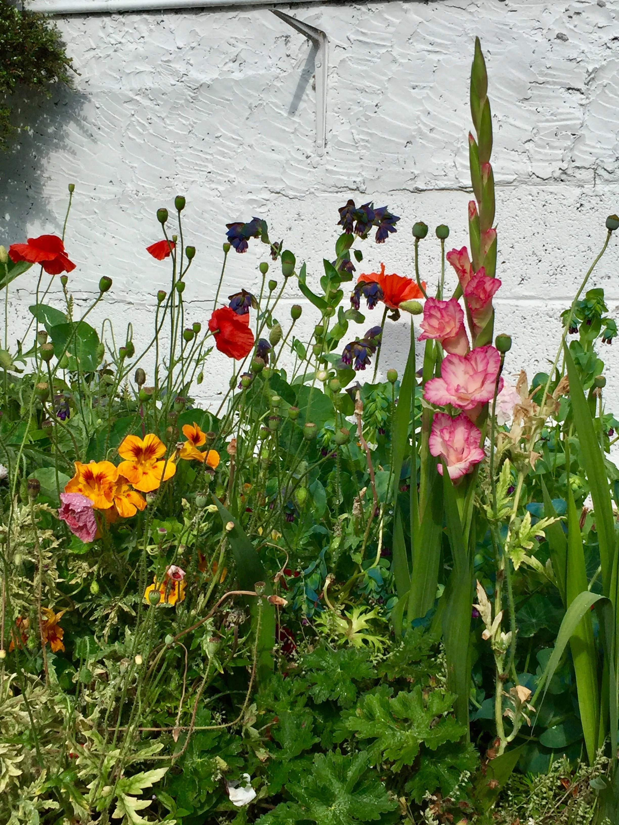 Gardens — Nettle Design