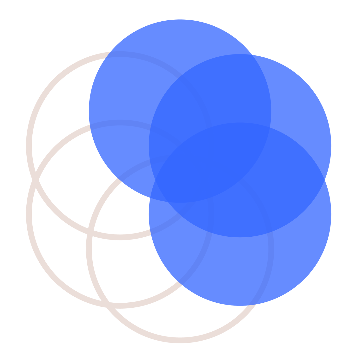 The Venn Collective