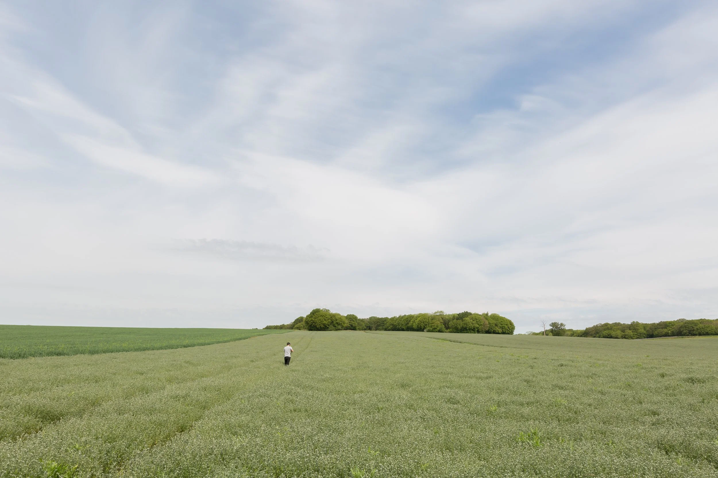 Why Ahiflower — Ahiflower