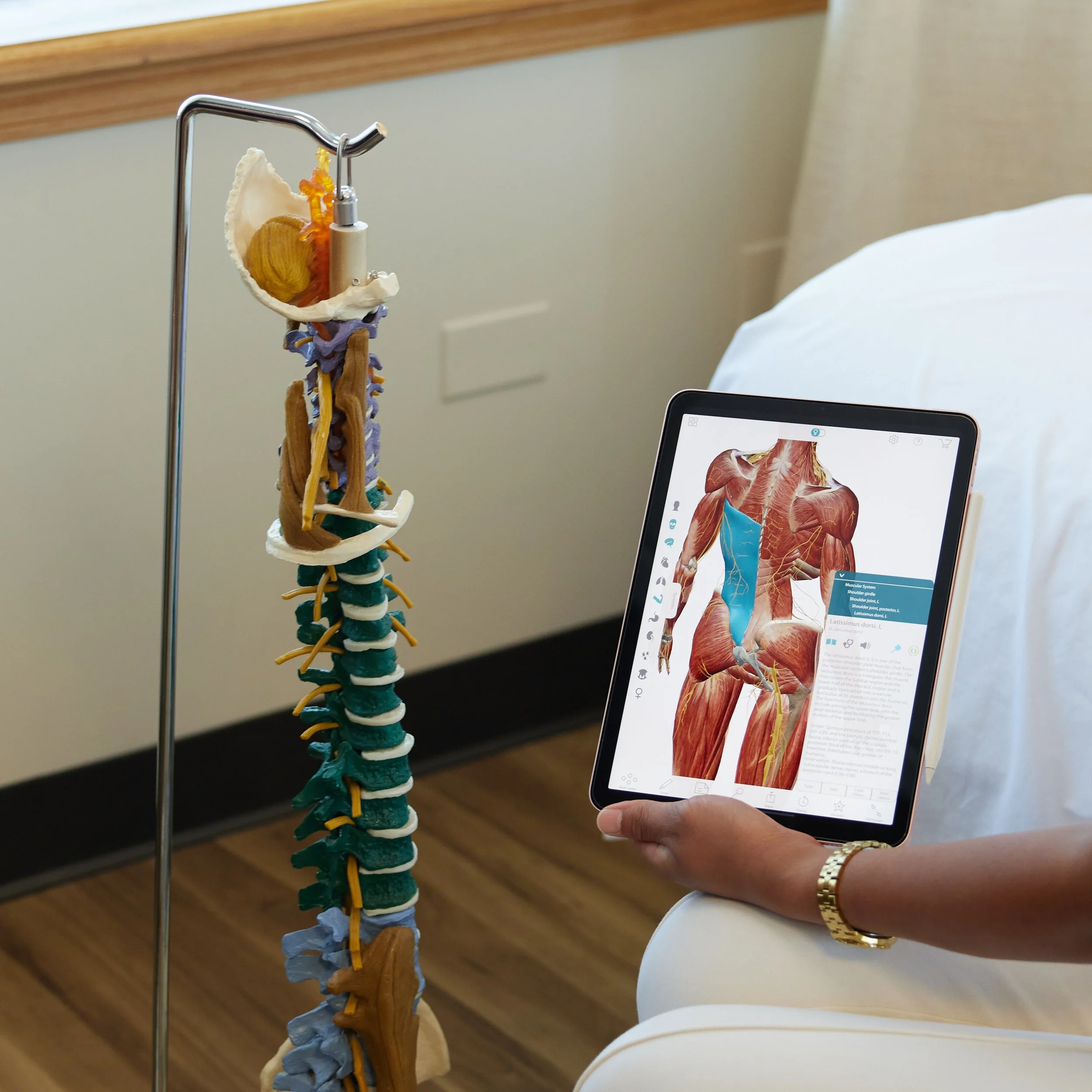 Relieve Low Back & SI Joint Pain with Pelvic Physical Therapy