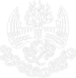 Native Tongues Taqueria