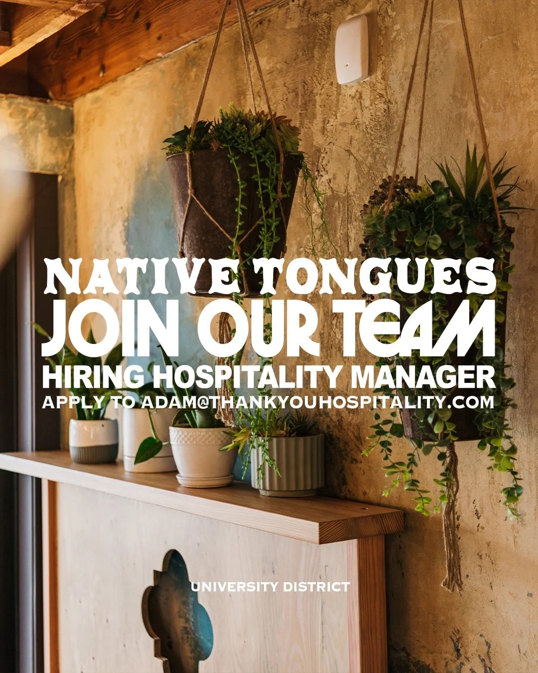 CAREERS — Native Tongues Taqueria
