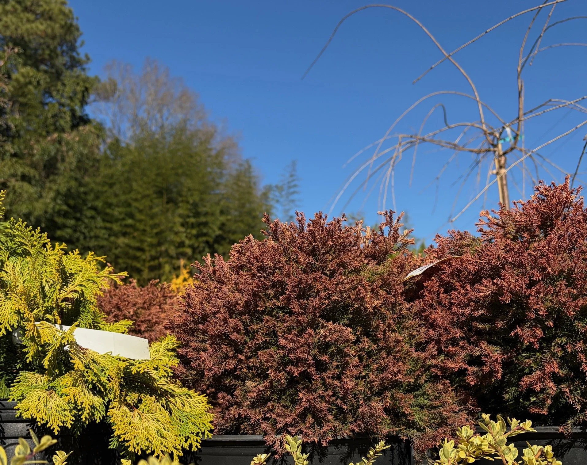 Durham Garden Center