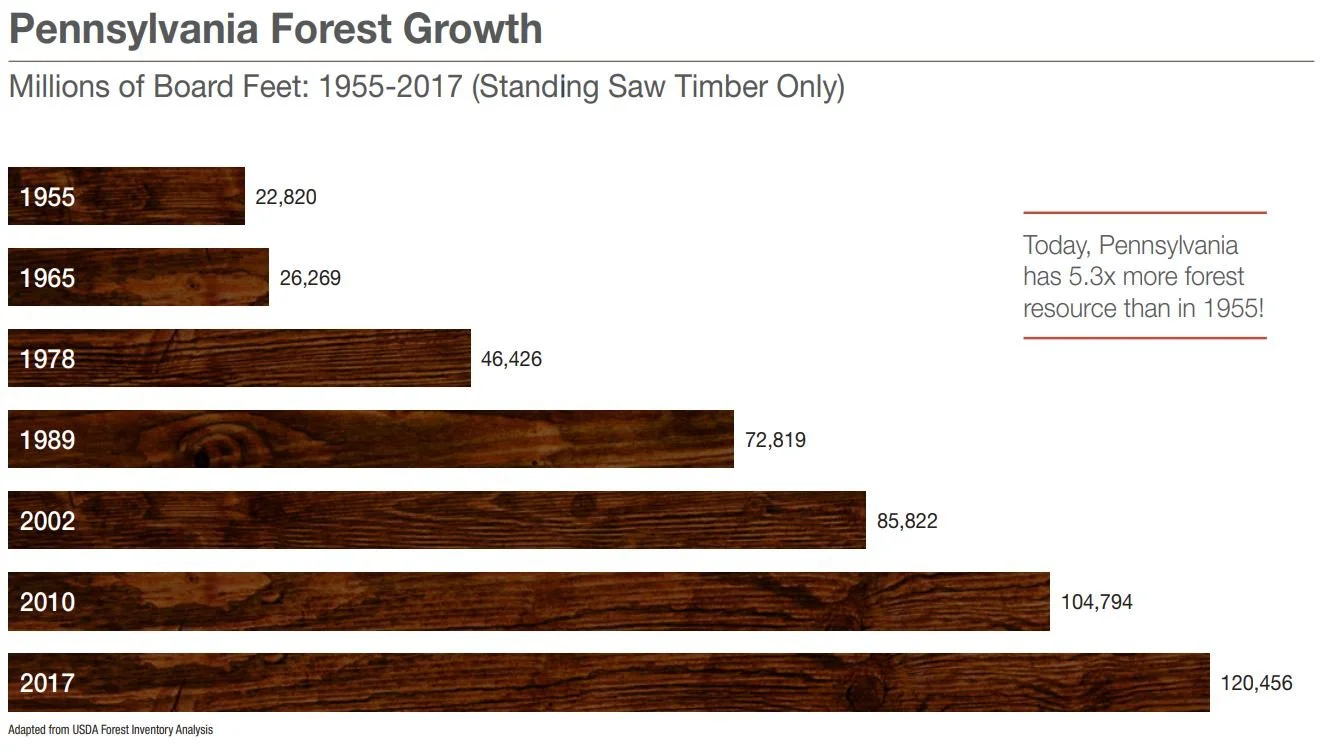 Forest Sustainability — Woodland Biomass Innovations - Sustainable ...