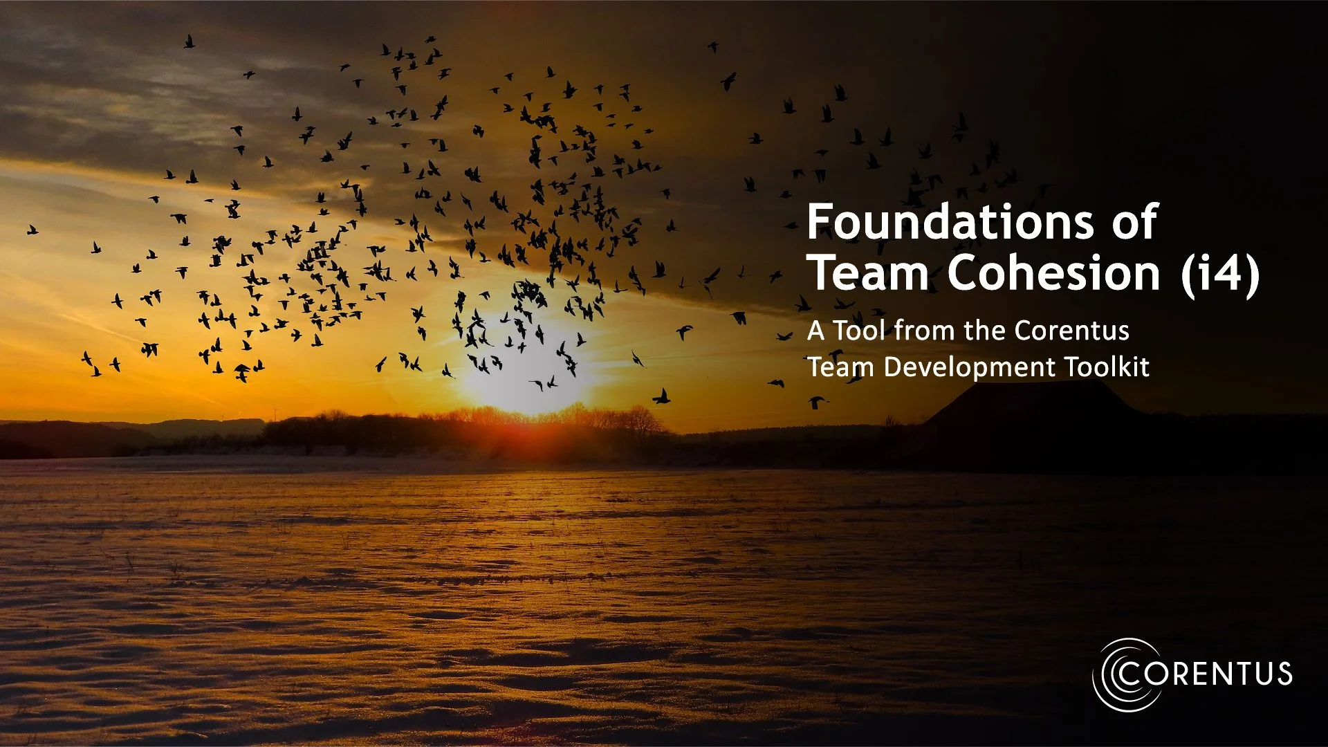 Collaboration & Cohesion | Corentus Team Tools: Elevating Leadership ...