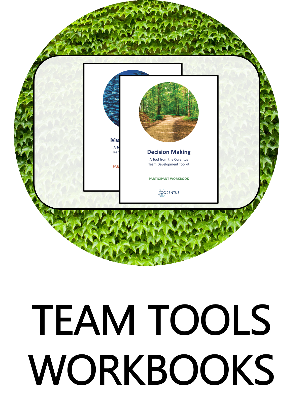 Courses & Programs — Corentus