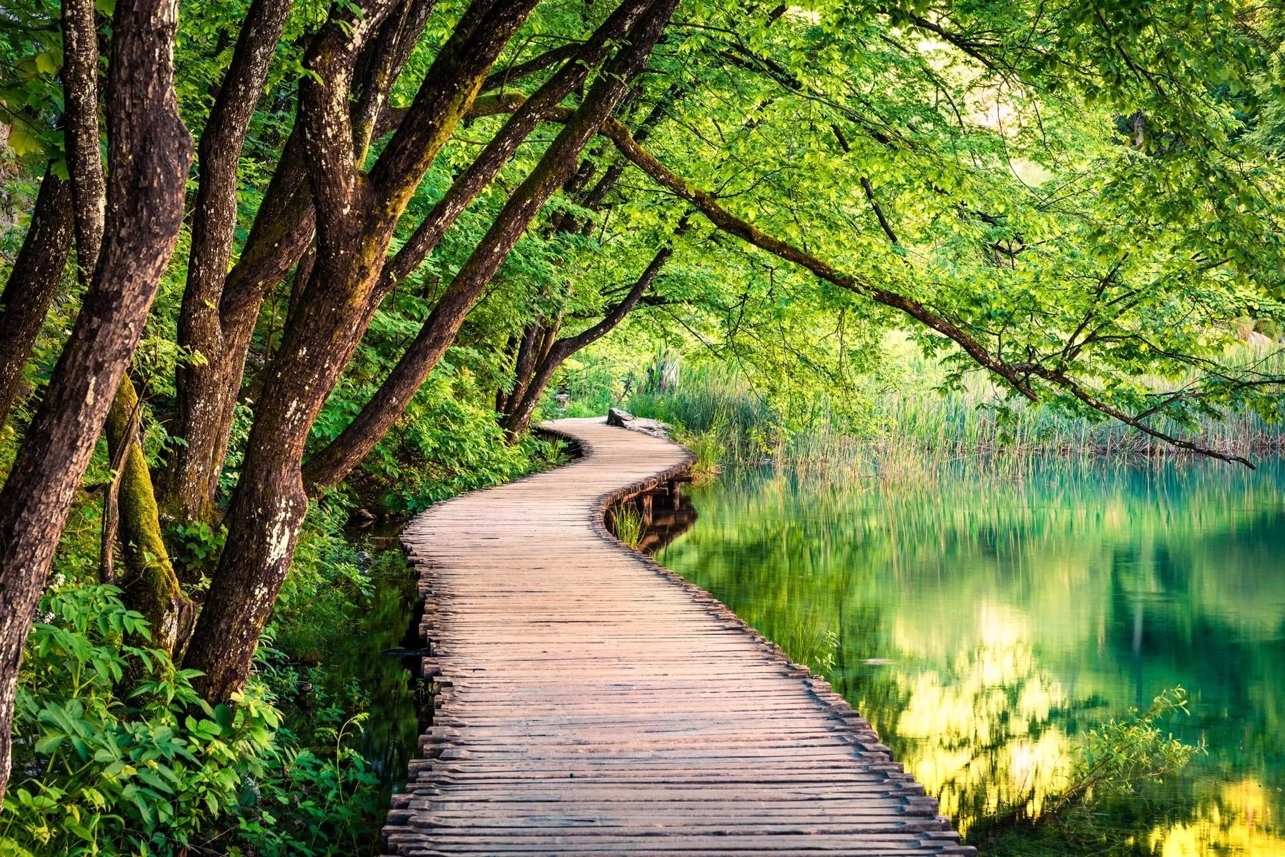 Transforming Team Performance — Corentus