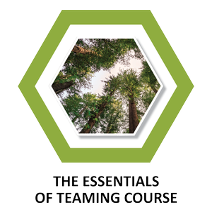 Courses & Programs — Corentus